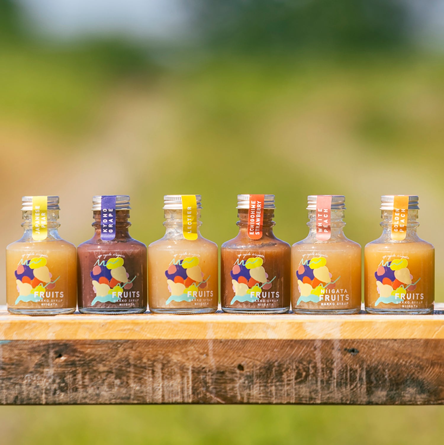 FRUITS HAKKO SYRUP – SUZU365